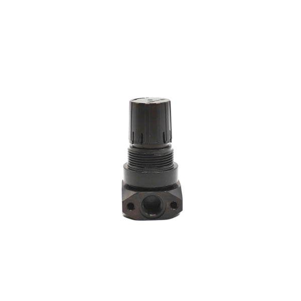 Numatics | Aventics Regulator 12 Series 1/4 in NPT, 0-125PSI | R12R-02 ...